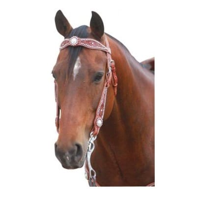 Fort Worth Bitless Bridle - Lanskeys Saddlery