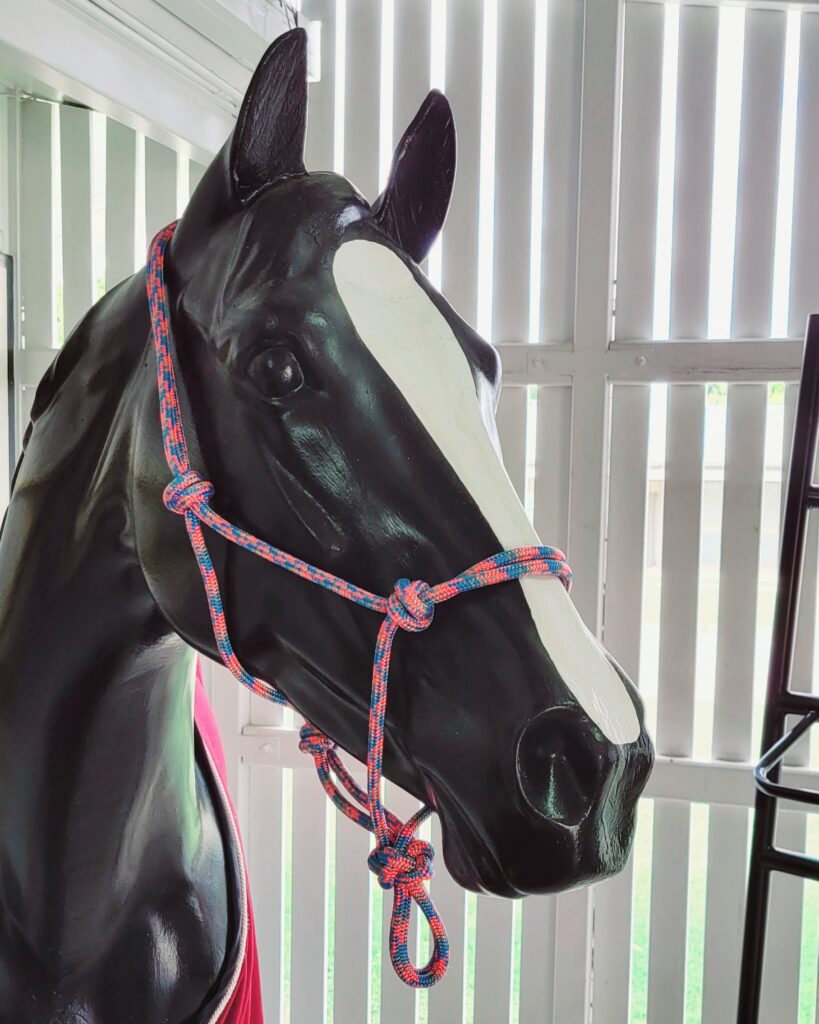 Rope Halter - Pink Roan - Lanskeys Saddlery